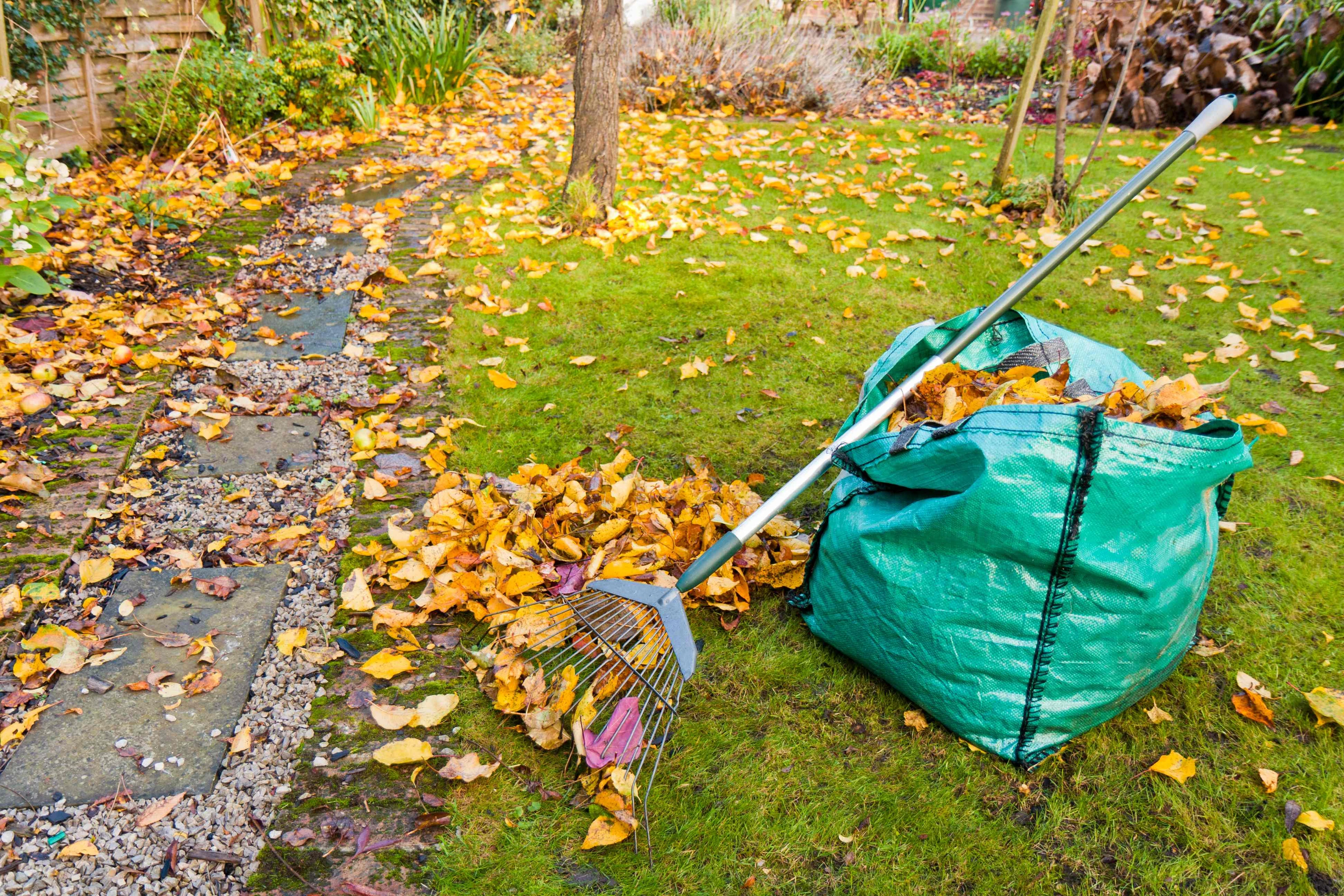 TopGrass Lawn Care Calendar Monthly Guide to a Healthy Lawn