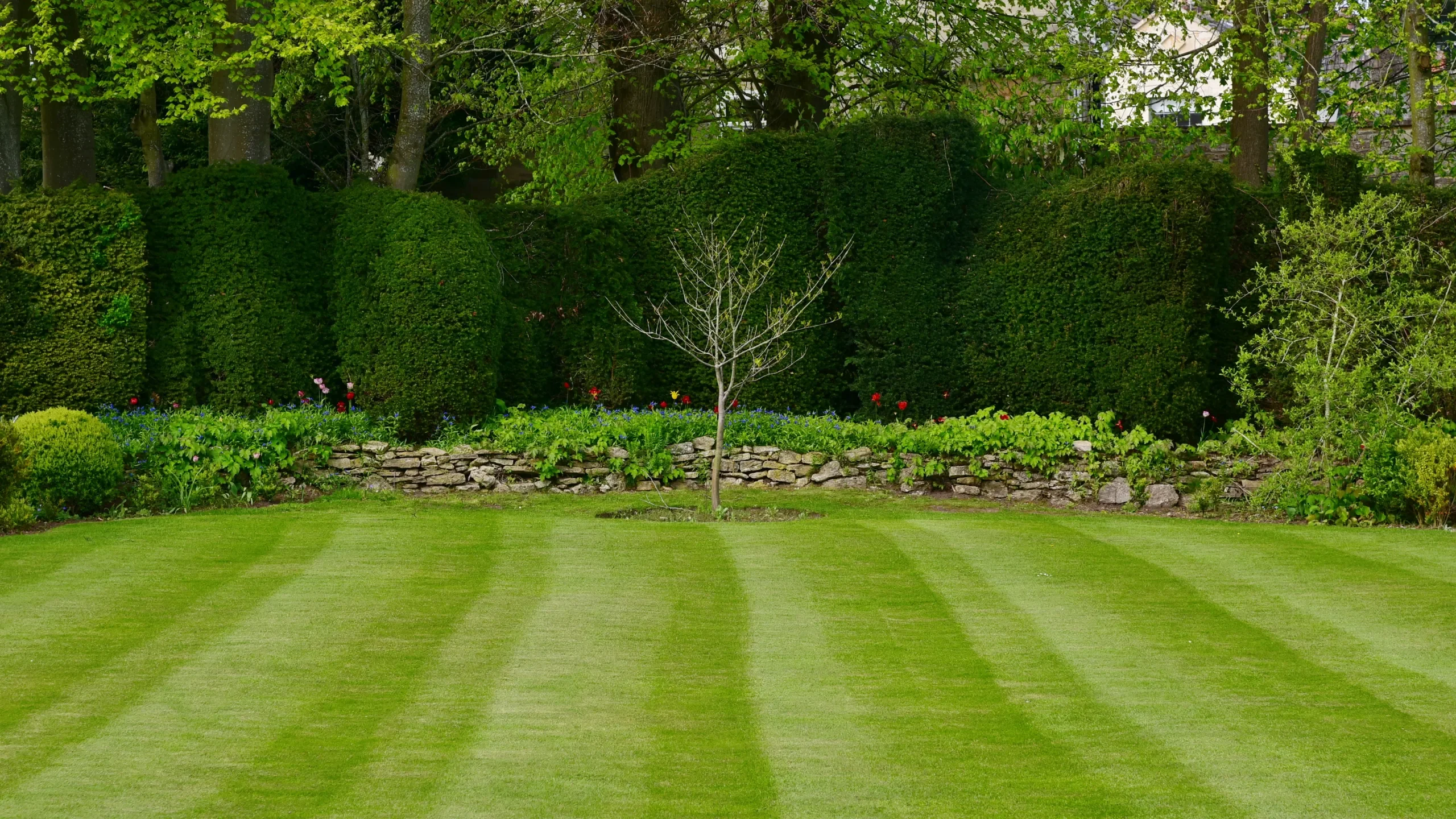 Standard Lawn Care Package - Seasonal Treatments & Annual Aeration ...